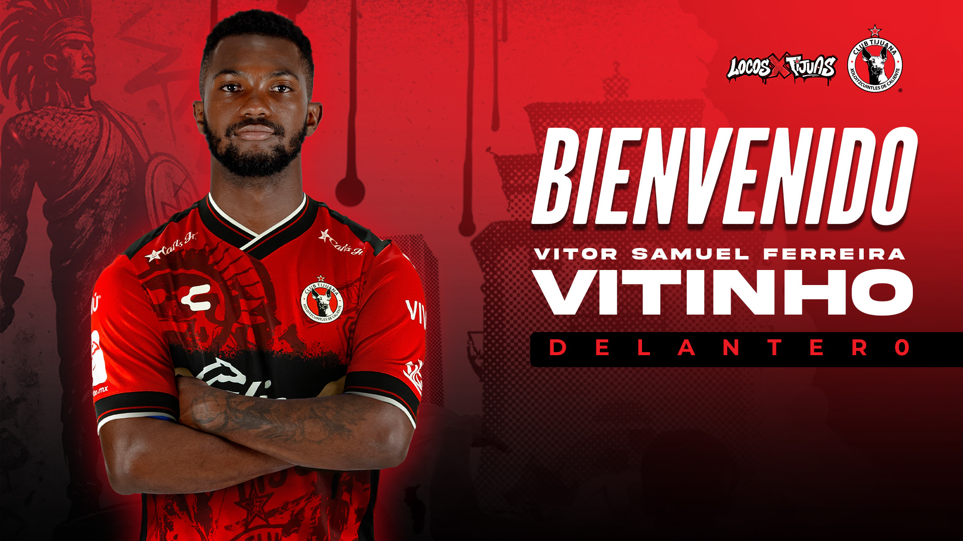 ¡Bienvenido a Tijuana, Vitinho! – Bereavision TV | Viendo TV Con Calidad